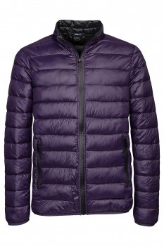 Geci barbati - Bigotti